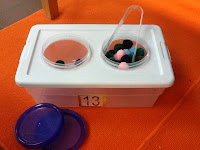 Learning to Grow... Preschool Special Education: Task Boxes