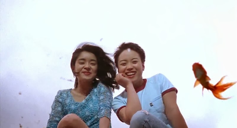 Fra(m)menti di cinema e...: "BIRDCAGE INN"(1998) di Kim Ki Duk