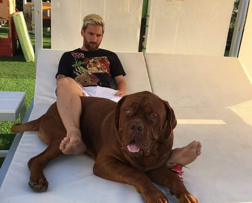 Faith Mindjos Blog: Lionel Messi Shows Off His Pet Dog's Remarkable Growth
