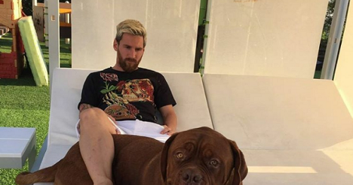 Faith Mindjos Blog: Lionel Messi Shows Off His Pet Dog's Remarkable Growth