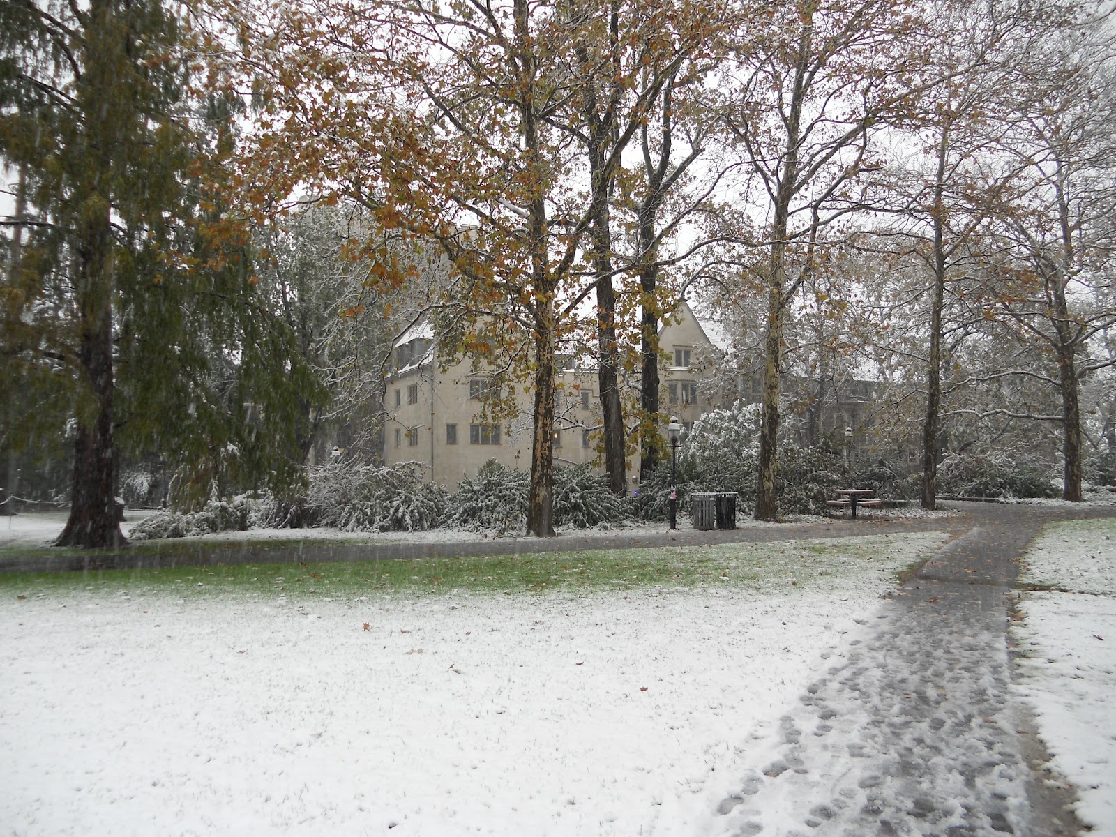 Nature Photography: First Snow at Princeton