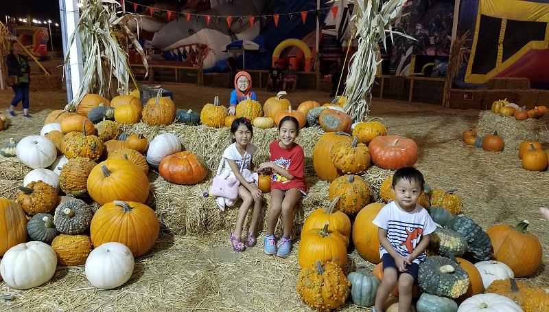 shinobun: Frosty's Forest & Pumpkin Patch