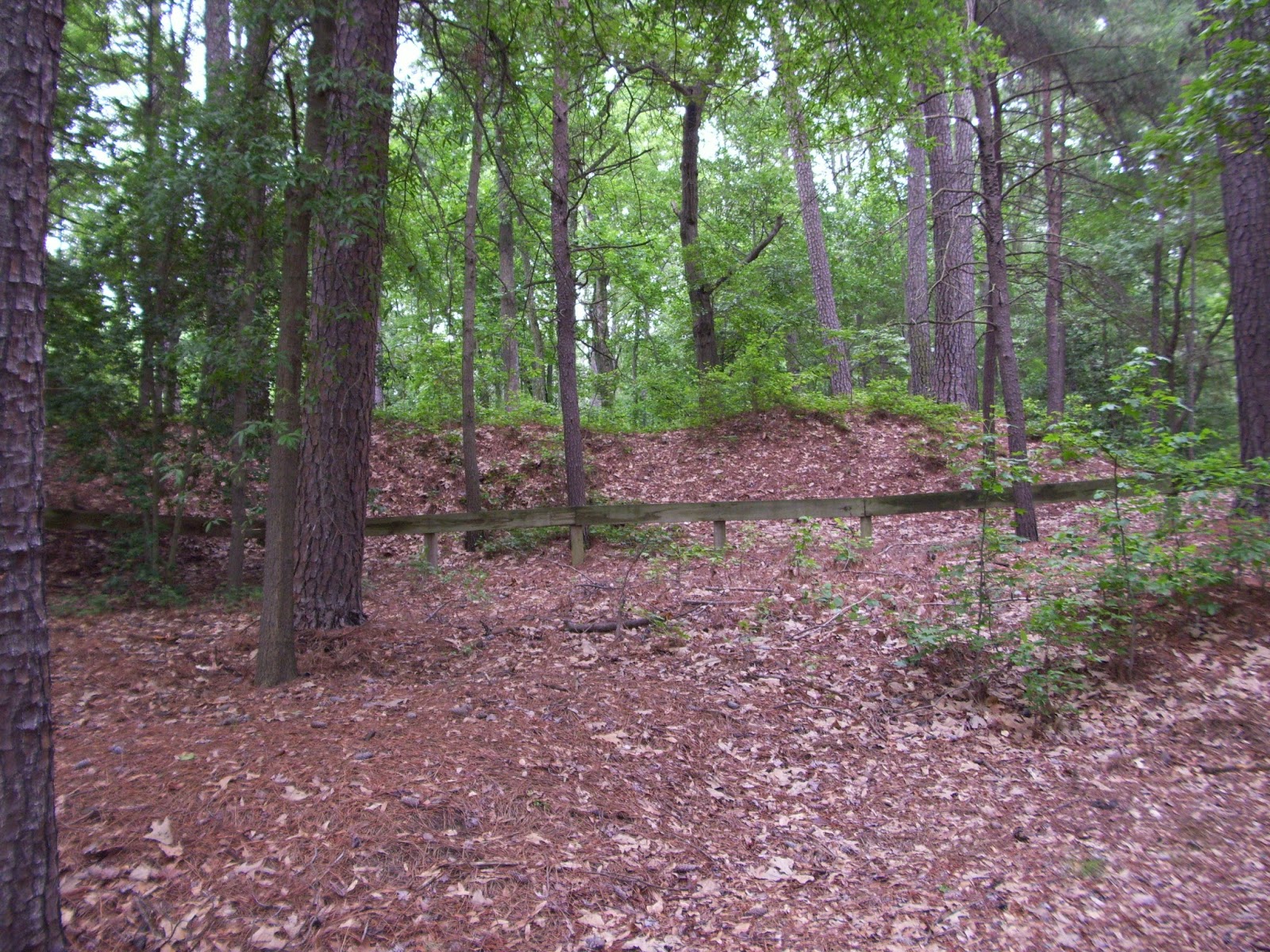 The Matt Ward History Experience : Fort Clifton