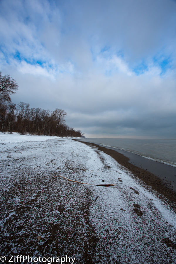 Ziff Photography: Point Pelee National Park revisit