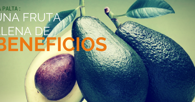 PALTAS FRESCAS : CONOCE EL PRODUCTO