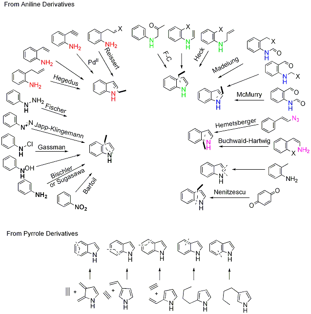 Dunia Dari Balik Tabung Reaksi: Lily dan Mr.Puingpuing (II) : Alkaloid ...