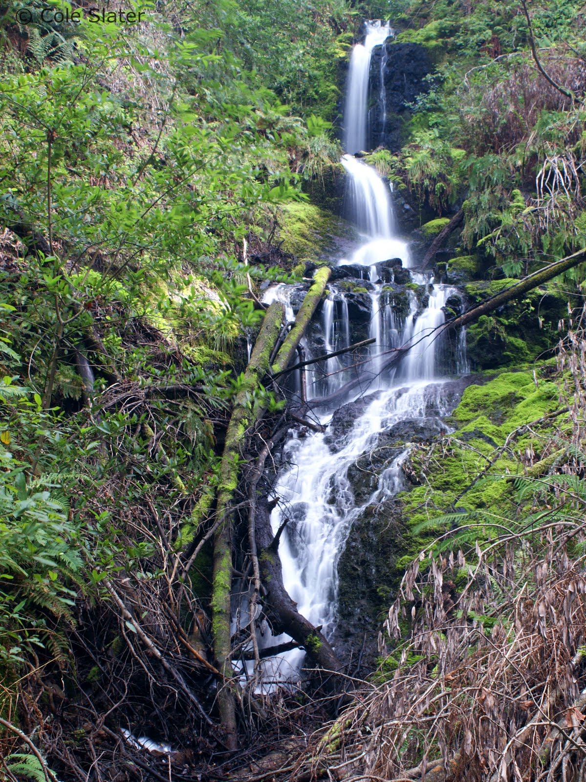 Cole's Trail Tales: Day Hike - Devil's Gulch , Stairstep Falls - Samuel ...