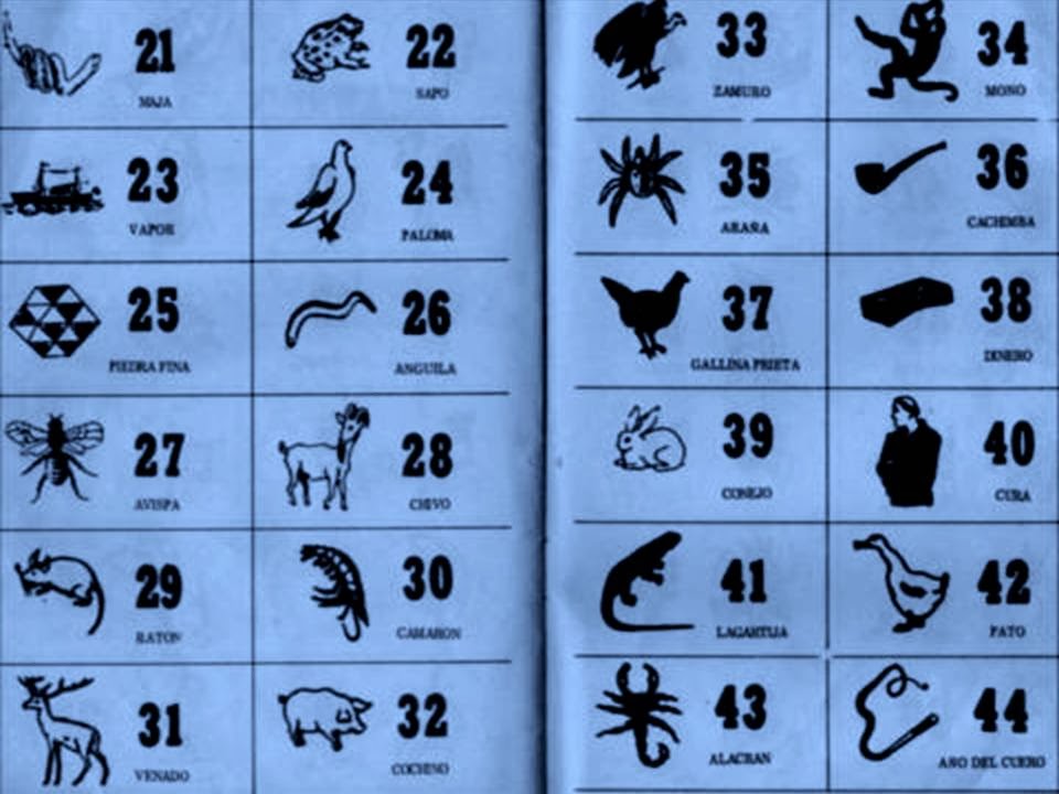 LA CHARADA DE MARIA LIONZA PARA GANAR A LA LOTERÍA ~ ORACIONES PODEROSAS