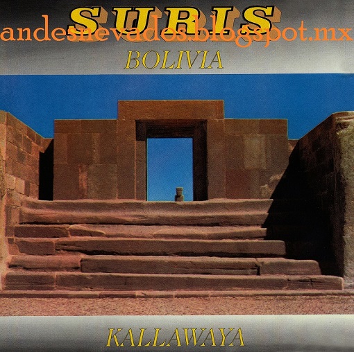 Andes donde andes y más cosas: SURIS - Kallawaya