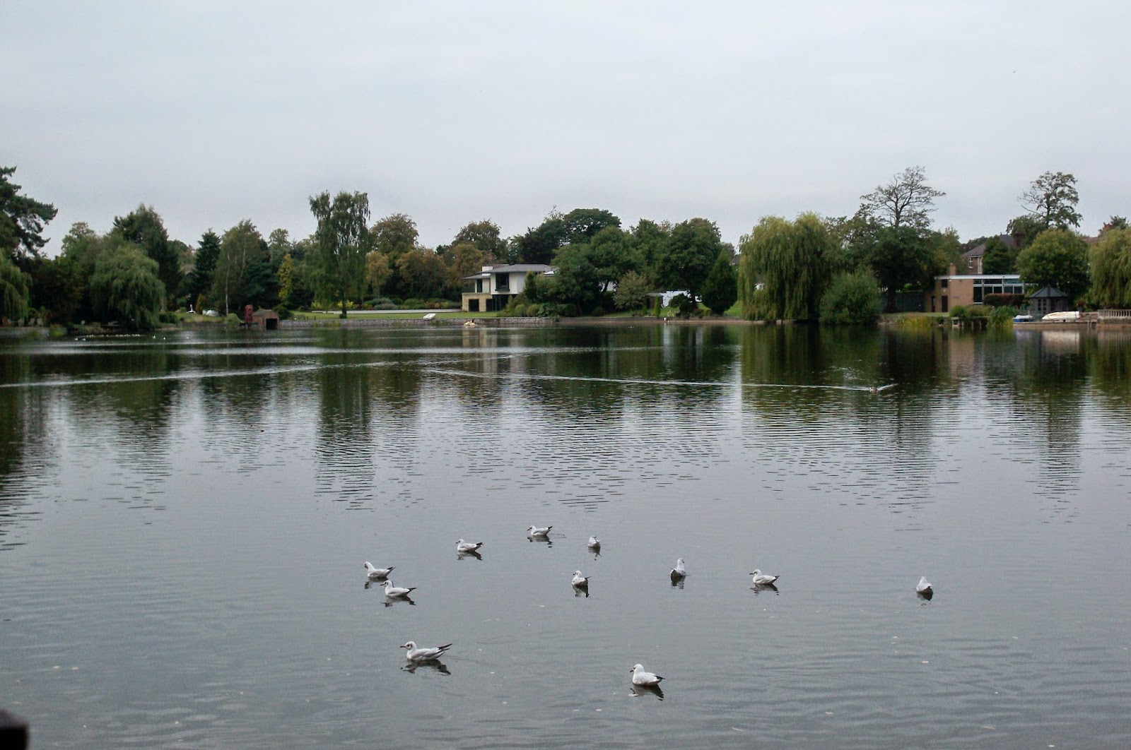 Football Grounds visited by Richard Bysouth: Alsager Town FC
