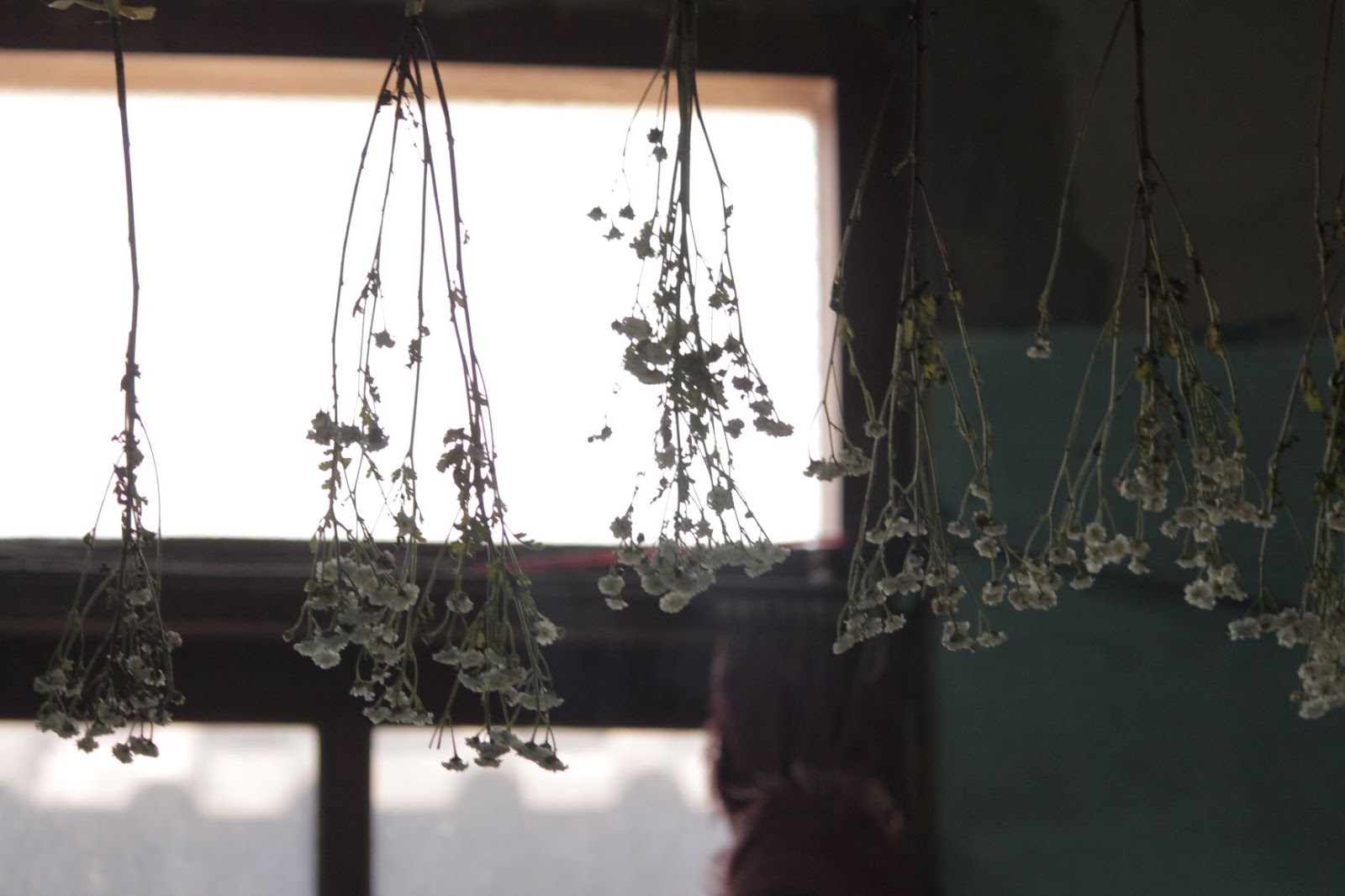 Membuat Bunga Kering Sendiri - Catatan Emak