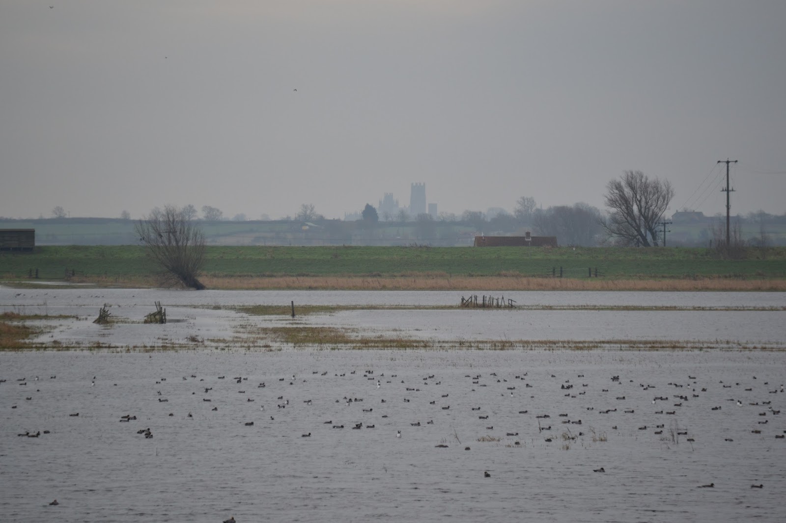 Retro Brit : The Fens Flood Plain by River Delph