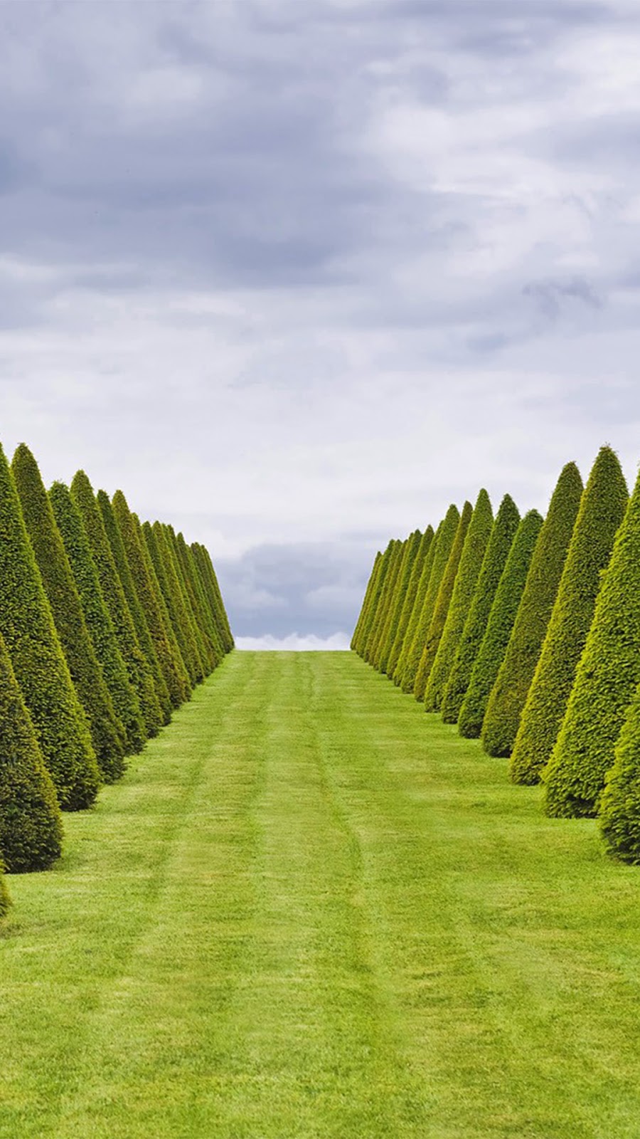 Fondo android pack 201