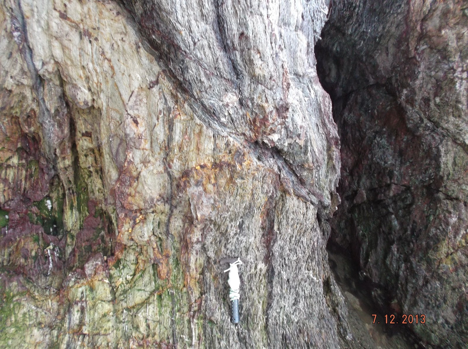 GEOLOGI UKM Paling Gempak!