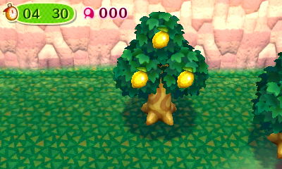 Animal Crossing New Leaf (ACNL) Cheats and Guides