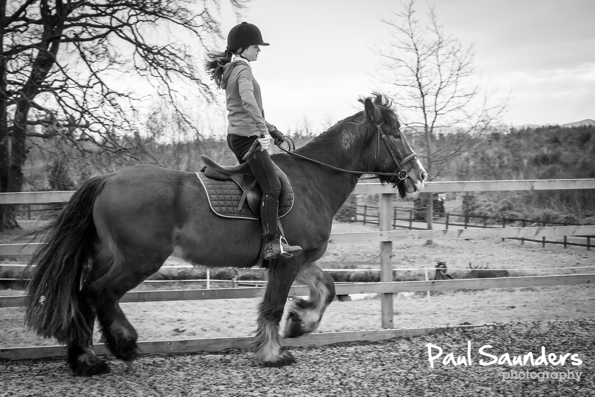 Paul Saunders Portrait Photography Blog: Horse Riding Photography Session
