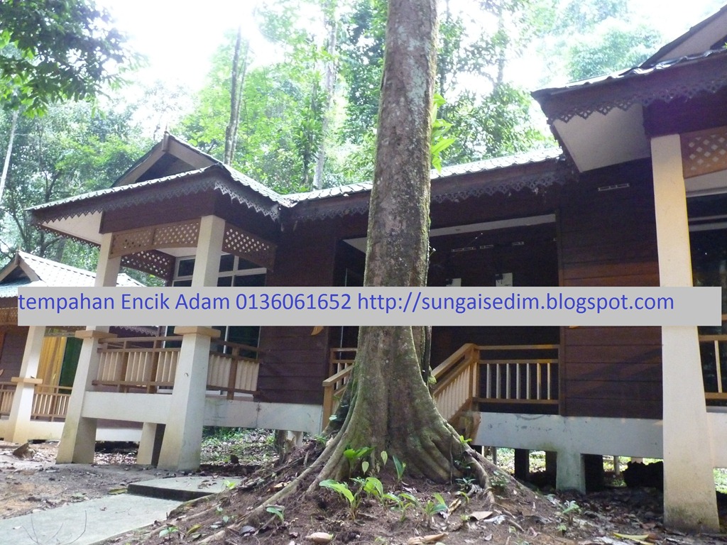 Sungai Sedim Jeram Terbaik Malaysia: Where To Stay