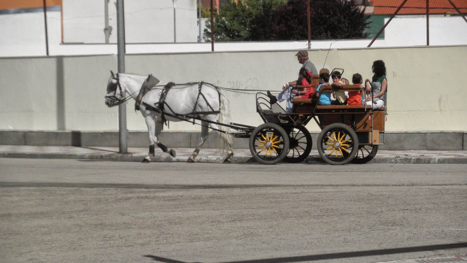 CEIP SANTA ANA MADRIDEJOS: Los Oficios: COCHERO