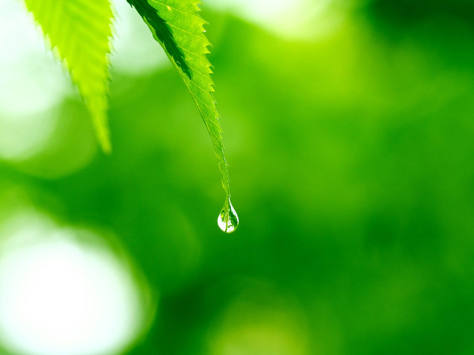 Digital Photography Wallpapers