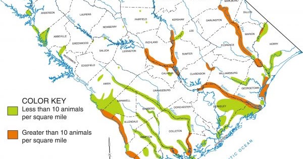 TOP 3 WILD BOAR HUNTING LOCATIONS IN THE U.S.