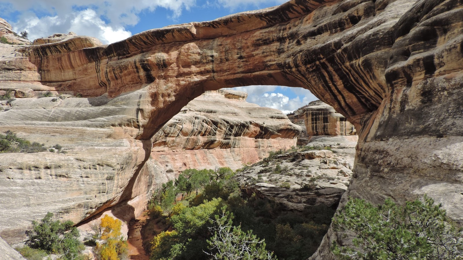 2015 TRAVELS : NATURAL BRIDGES NATIONAL MONUMENT, BLANDING TO ...