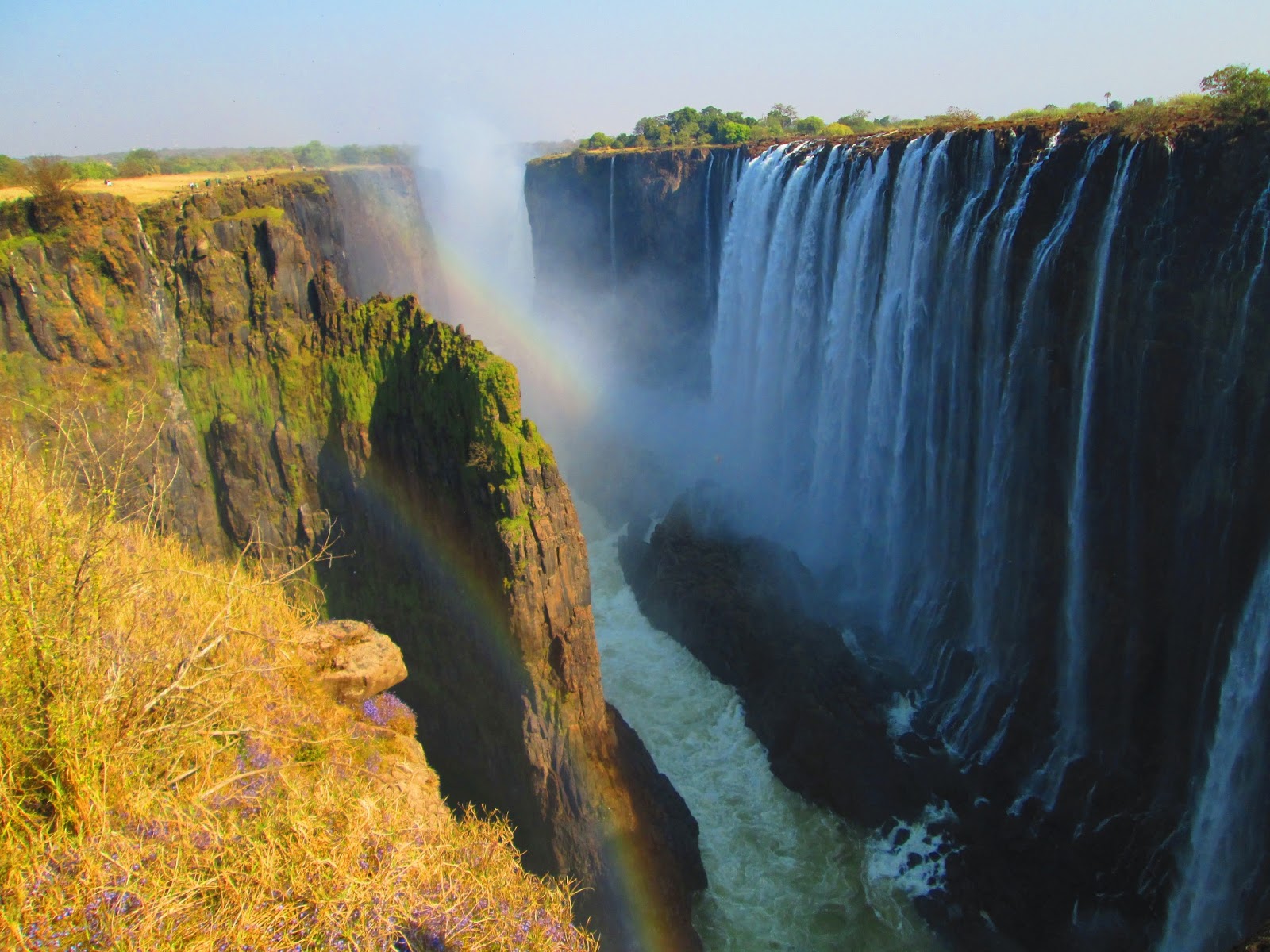 The largest man made forest in Africa - Viphya Forest (Photos) | BOOMSbeat