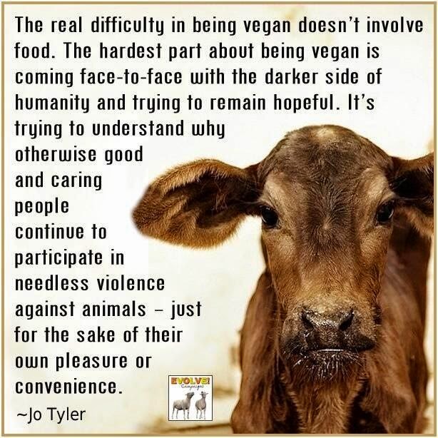 The hardest part about being vegan : r/vegan