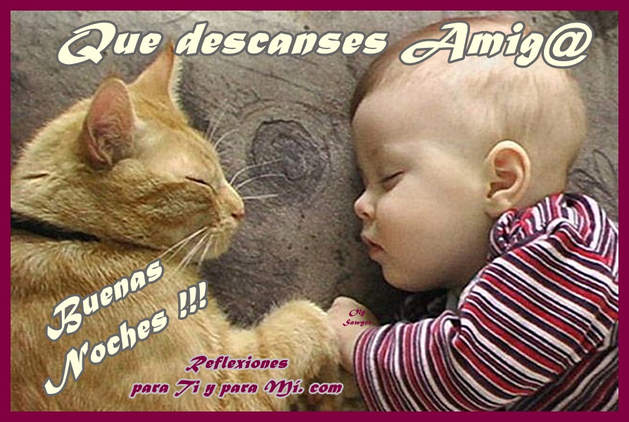 Buenas noches que descanses - Imagui