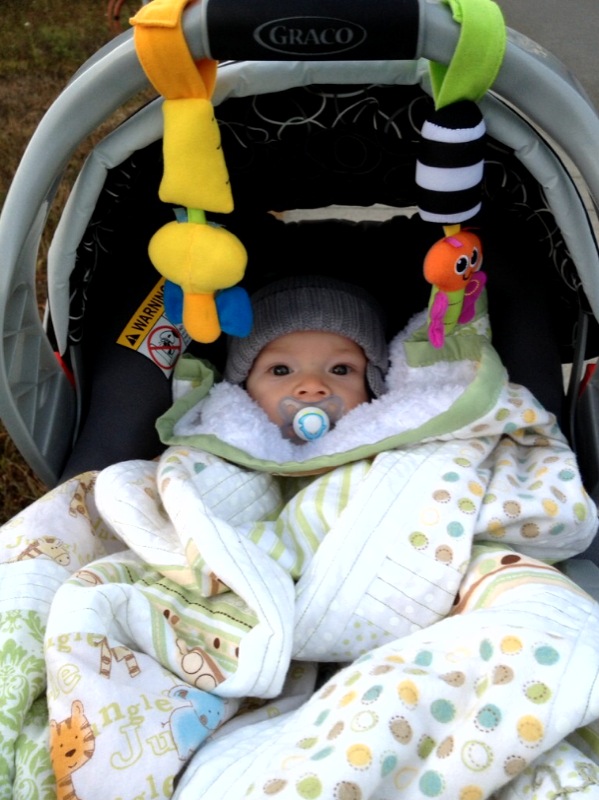 ZigZags and Blossoming.......: Super Soft Baby Blanket/Quilt