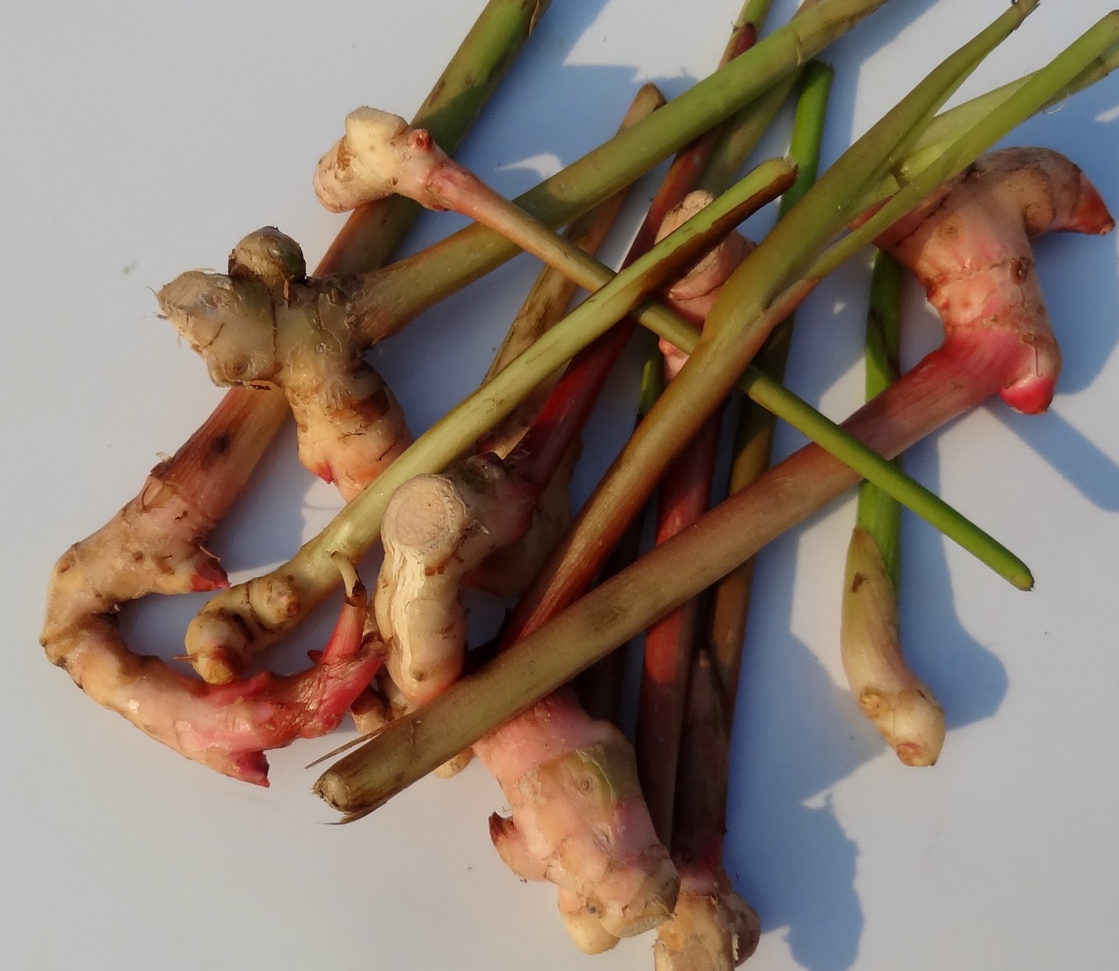 Kameshore's articles: Yongchak -- A Popular Manipuri Dish