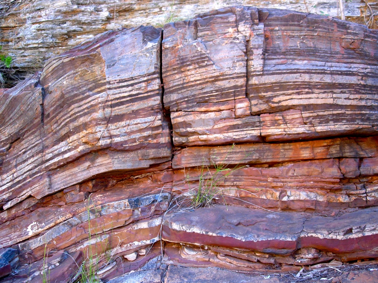 Schoers' Travels: THE PILBARA - RED ROCKS BLOOMING