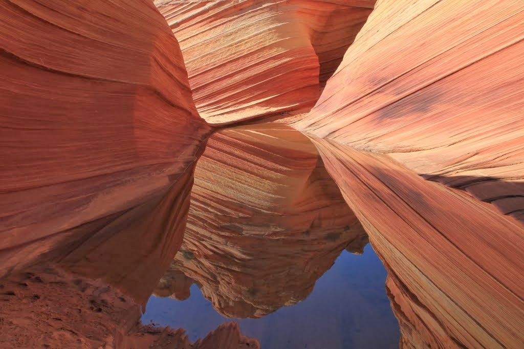 A LOS ORÍGENES: The Wave - Estados Unidos