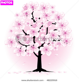 Cherry Blossom Tree Drawing | Cherry Blossom Tree