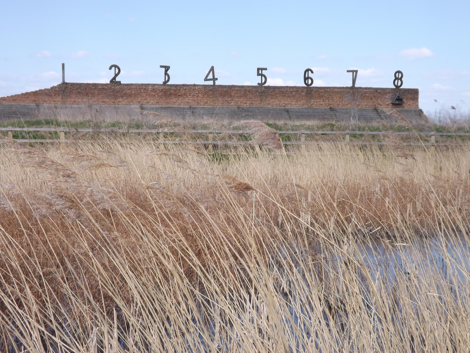 Ramblings from an English Garden: Rainham Marshes