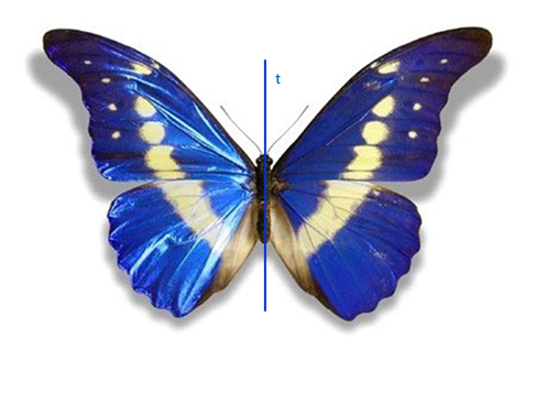 123...Volta outra vez: Simetria de reflexão ou simetria axial