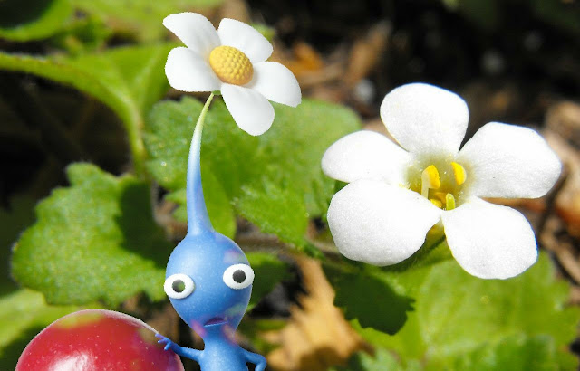 #413 - The Pikmin Flower