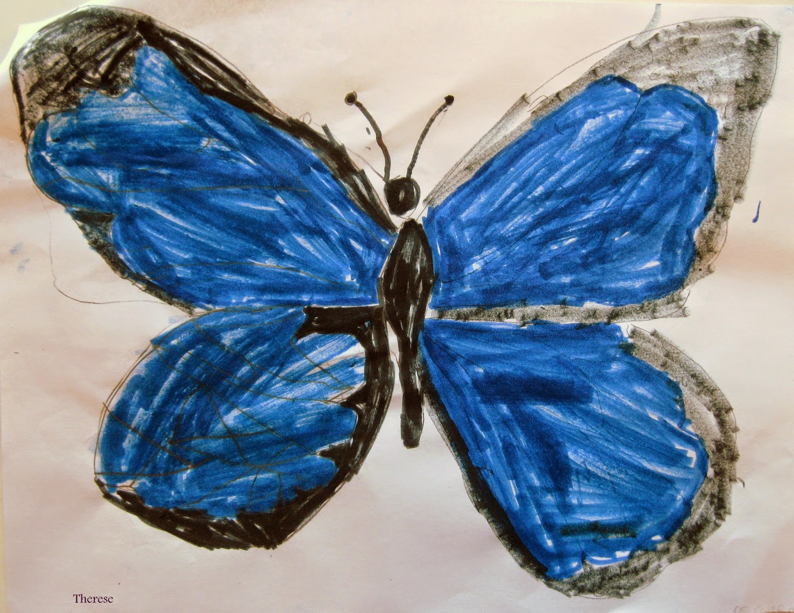 Art Class Ideas: Butterfly Symmetry