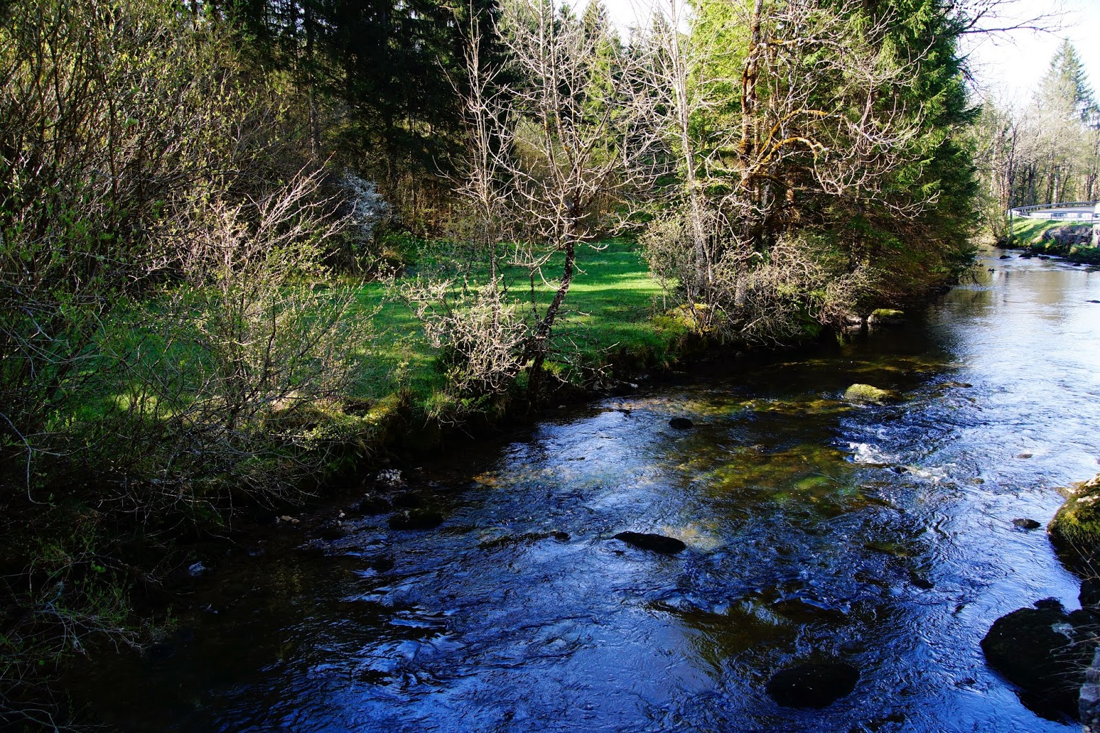 la vie est belle: En suivant la SAINE!!!!!! paysage paisible et magnifique.