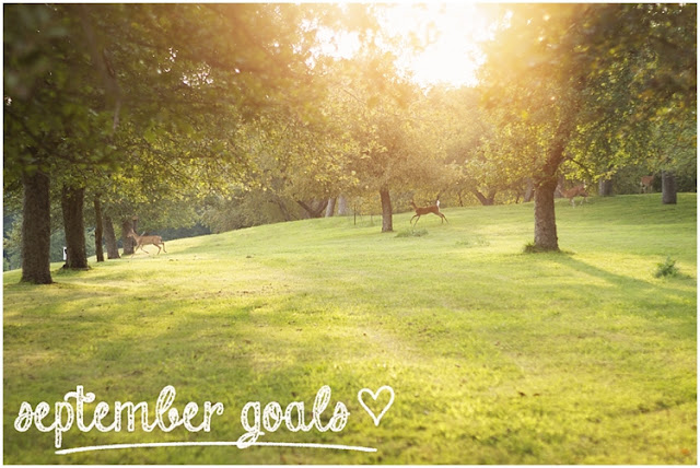 September Goals · Pennsylvania Fine Art Wedding Photographer | Ashley ...