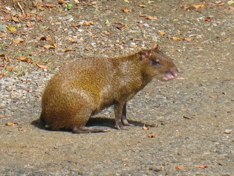 Leap Notes: Are You Sure You're Having Fun?