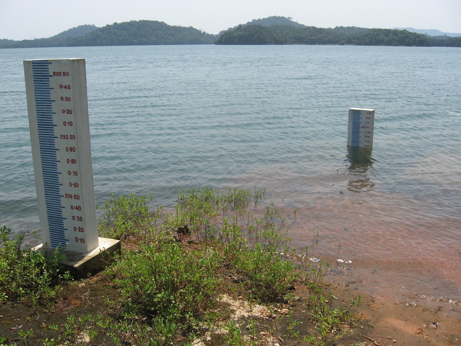 Expressing Myself: 2015