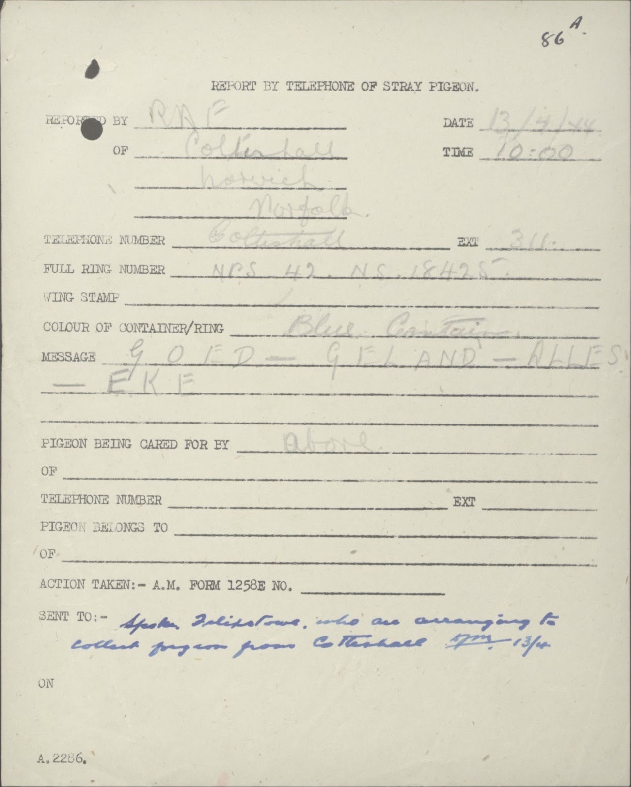 World War 2 History and the WW2 Pigeons: 1944 pigeon delivers coded message