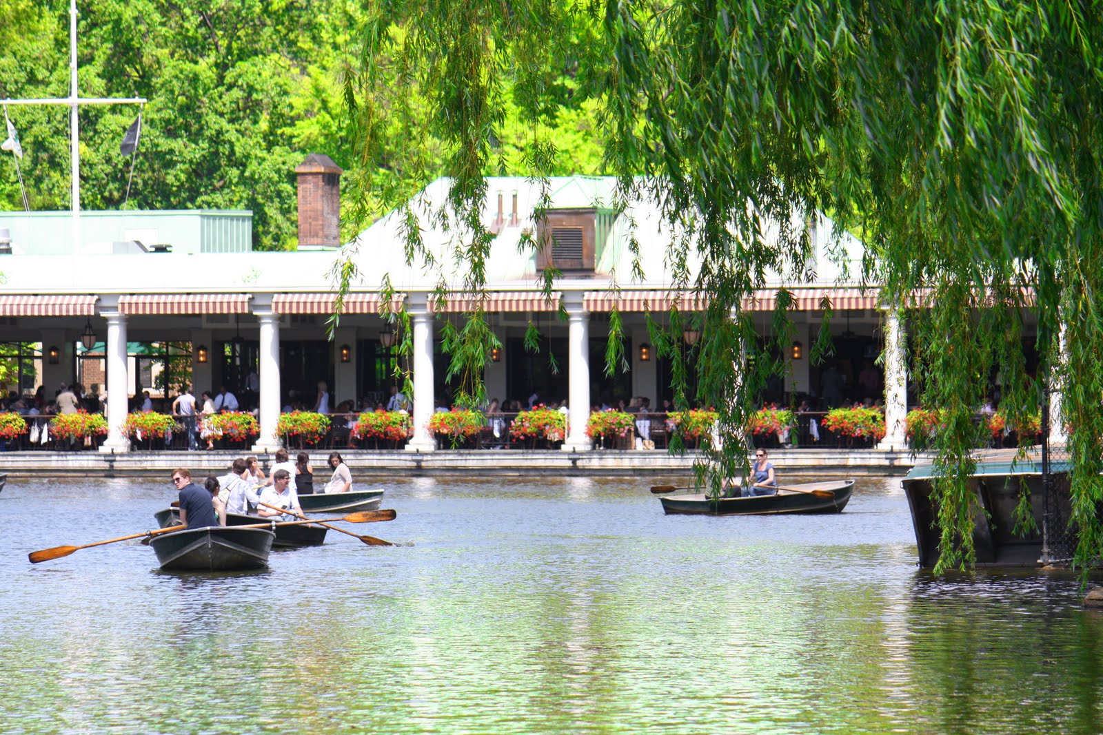 400 Wake-ups: ShanAlly Chronicles 2.0