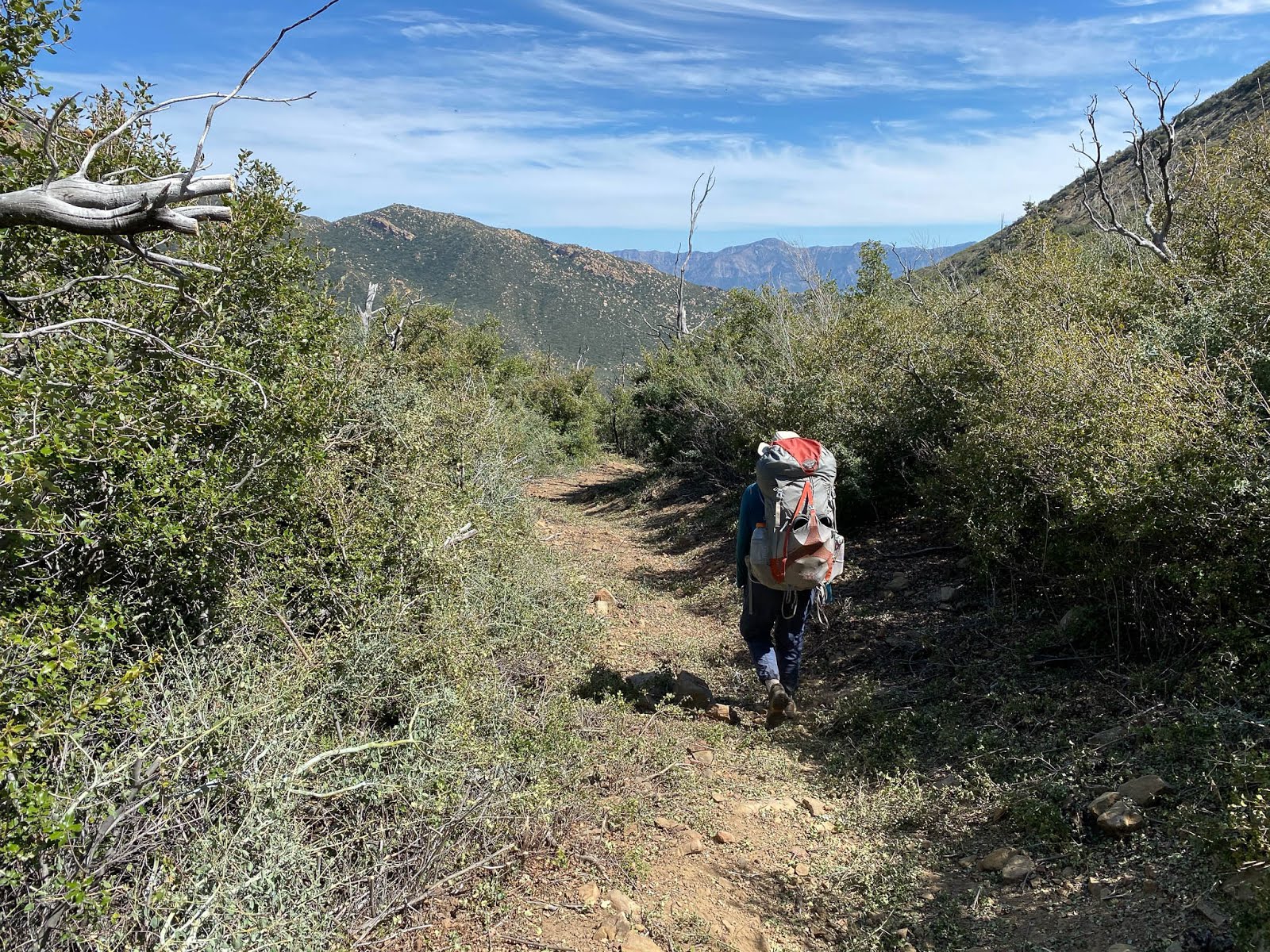 Section Hiking The Condor Trail: Lower Rancho Nuevo to Piedra Blanca ...