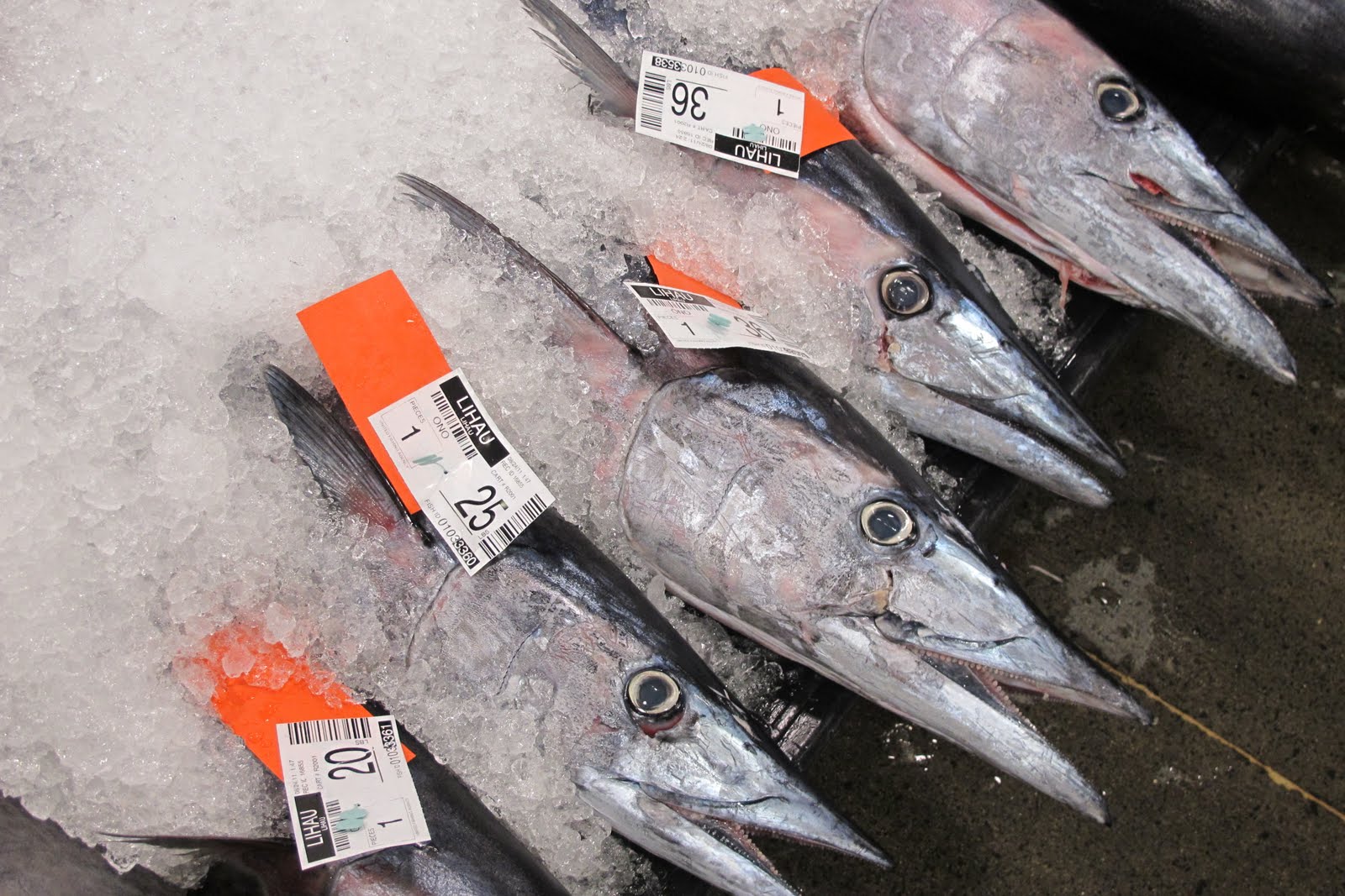 Honolulu Fish Auction - Munchie Musings