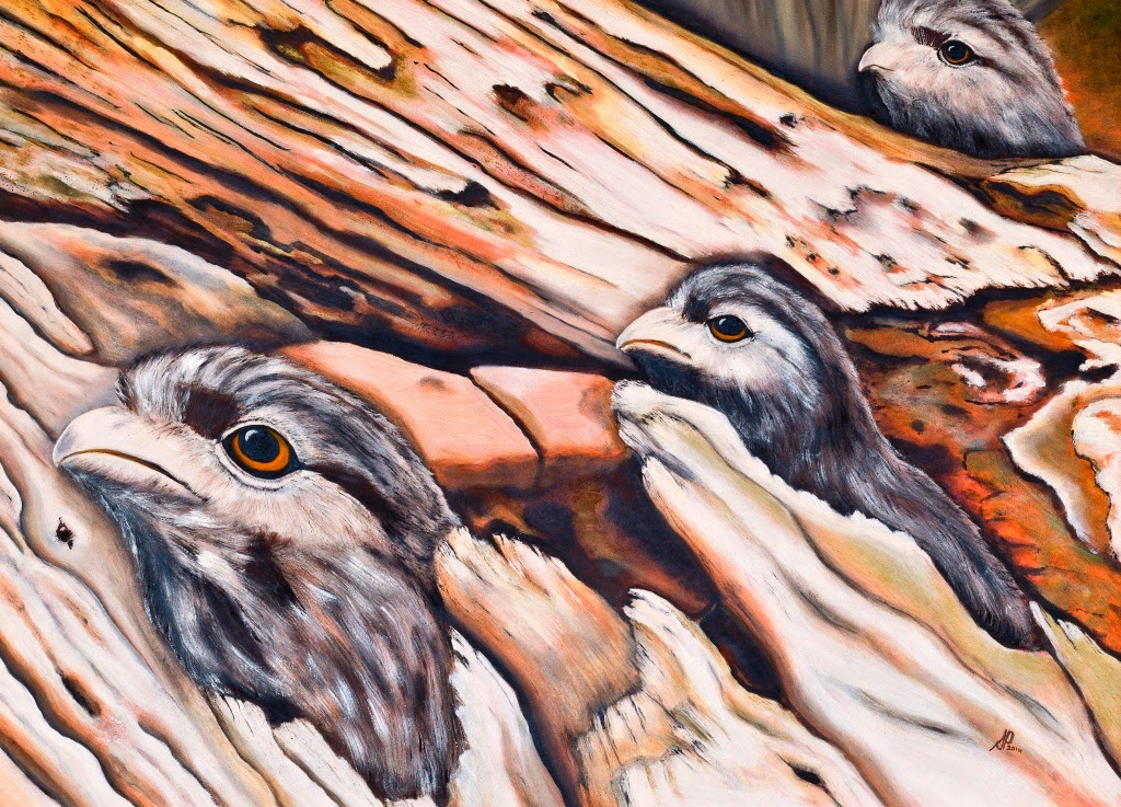 "Tawnies" oil paintings by Susan Parsons November7-27