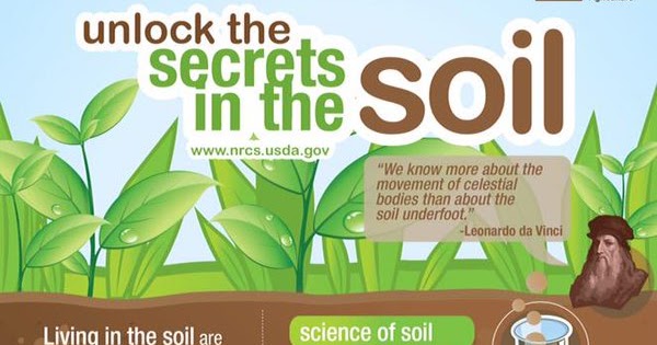 Soil Infographic | Big Picture Agriculture