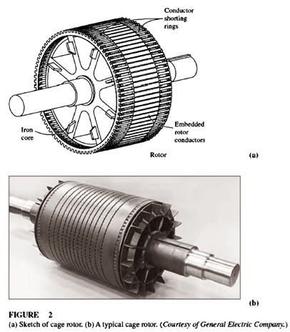 electlive: INDUCTION MOTORS