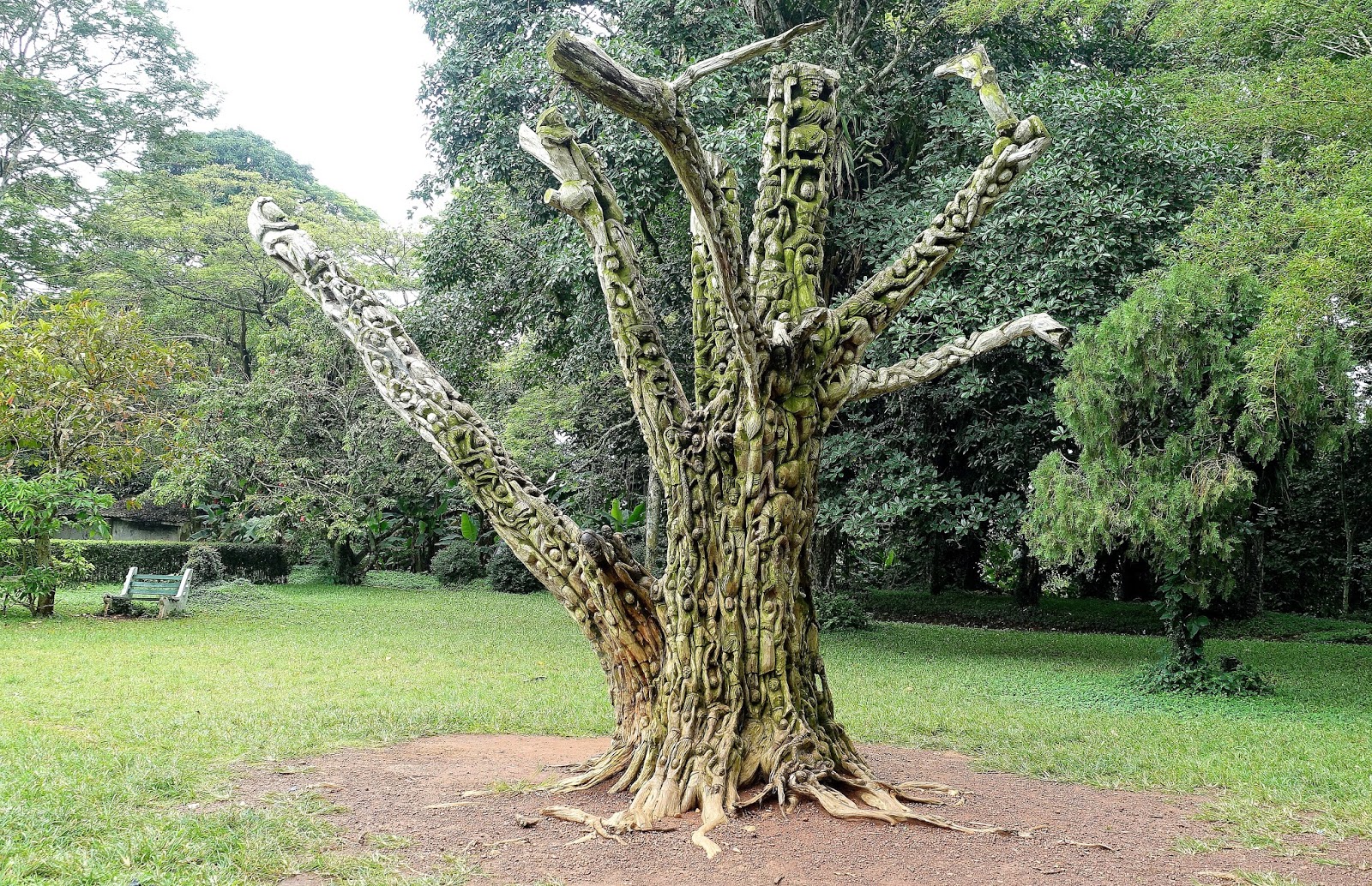 two trees - The Art of Unpacking