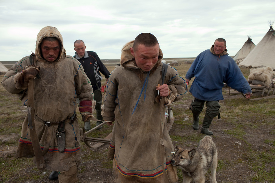 kimera: Zyryanka, Rusia.